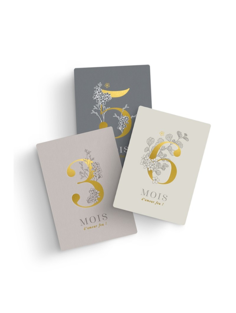 CARTES MES 12 PREMIERS MOIS